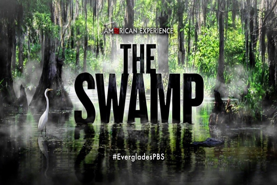 The Swamp NATURE NEVER SURRENDERS|Show | The Lyric Theatre