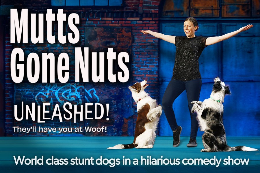 Mutts Gone Nuts – Unleashed| Show | The Lyric Theatre